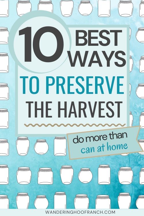 10 Best Methods for Food Preservation at Home